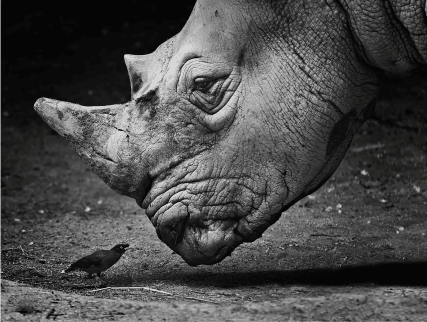 Awards Photos | Photography Contest